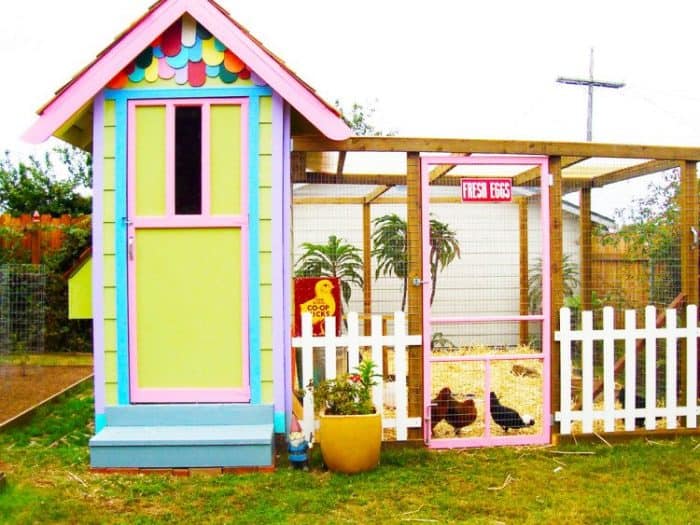 37+ Chicken Roosting Ideas For Your Chicken Coop