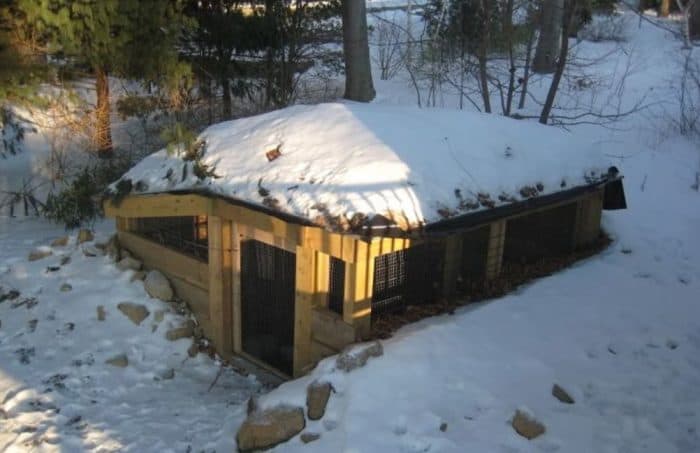 37+ Chicken Roosting Ideas For Your Chicken Coop