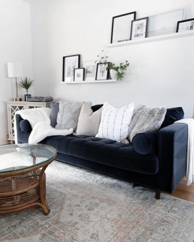 What Color Rug Goes With a Blue Couch - 15 Ideas