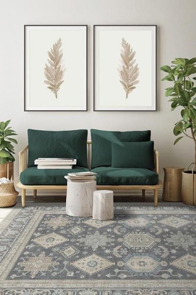 What Color Rug Goes With A Green Couch - 15 Ideas