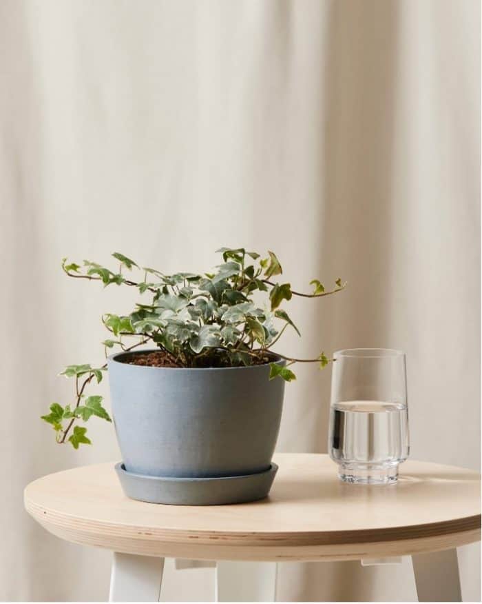 17 Rustic Living Room Wall Decor Ideas